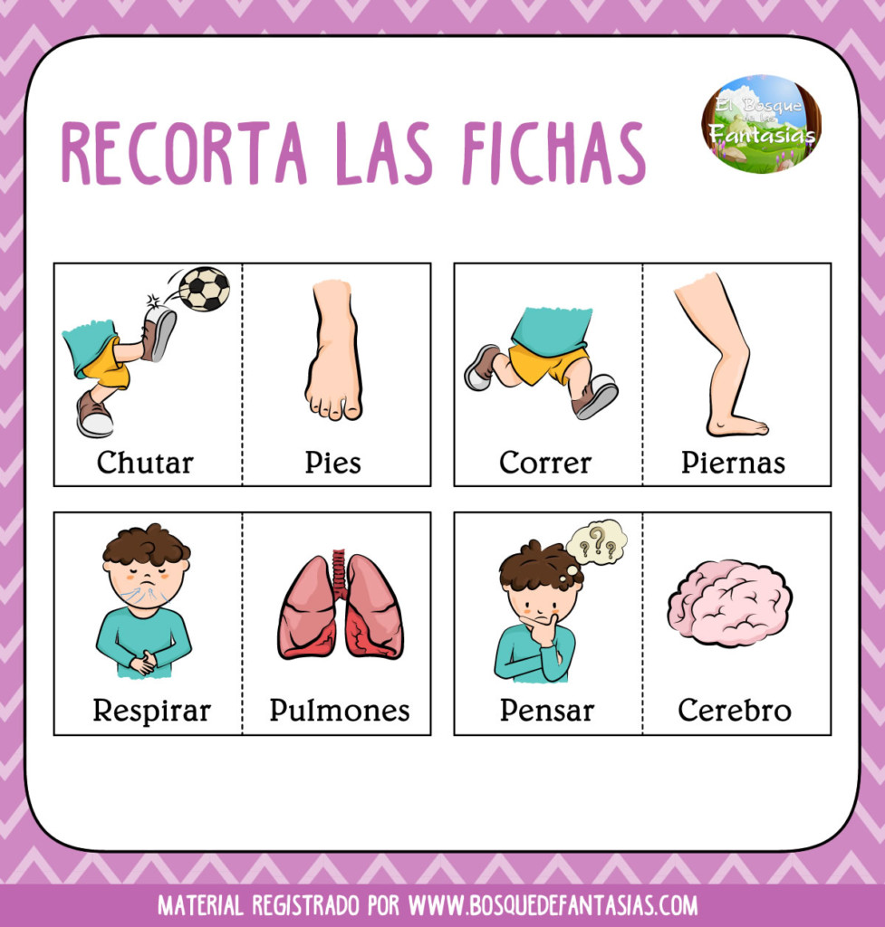 CUADERNILLO: Fichas de acciones para primaria en PDF