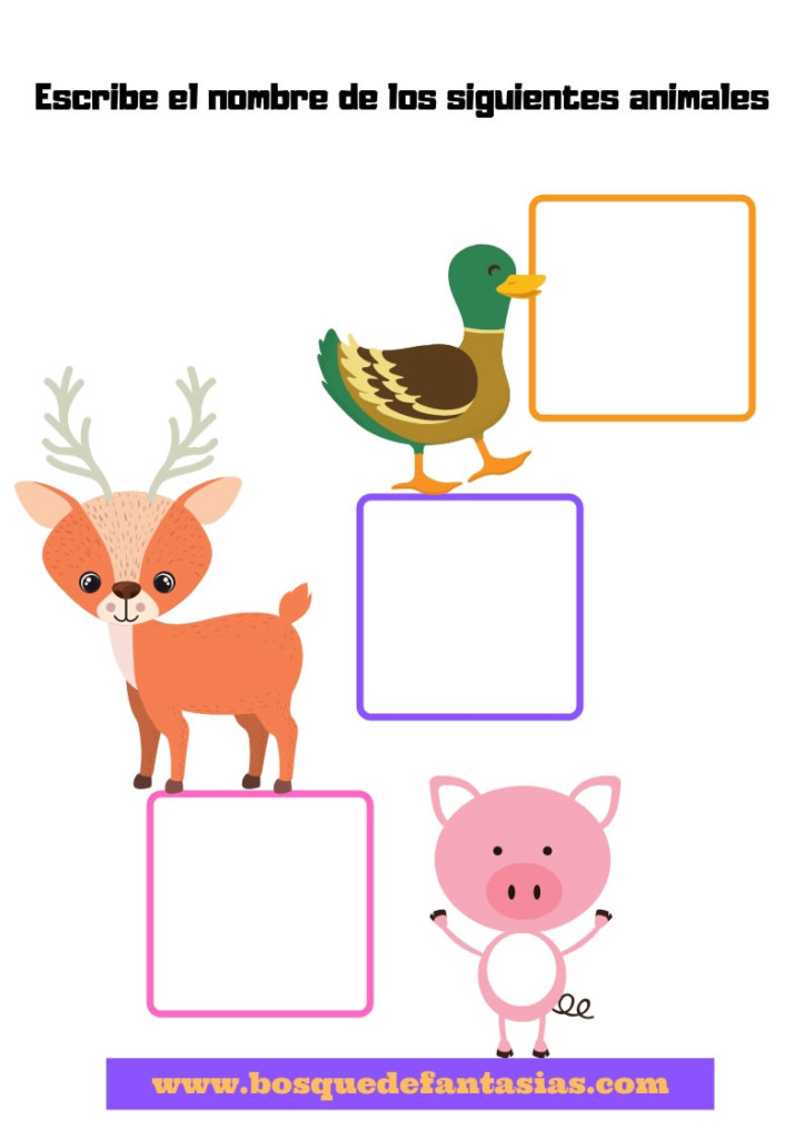 Cuaderno de LECTOESCRITURA de COCO para niños de primaria