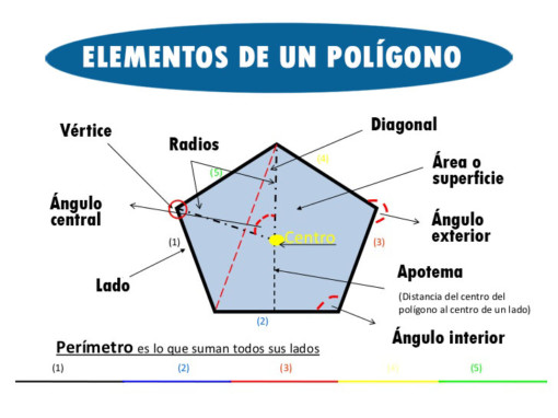 POLÍGONOS ® Qué son, características y clásificación