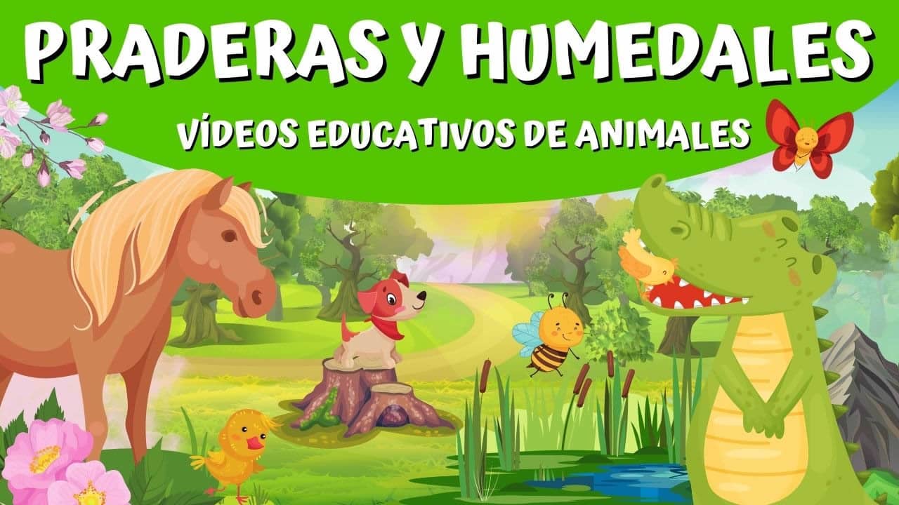 ANIMALES DE PRADERA Y HUMEDALES ® Ejercicios para niños