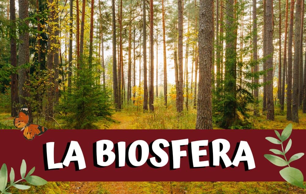 LA BIOSFERA TERRESTRE ® Características e información para niños