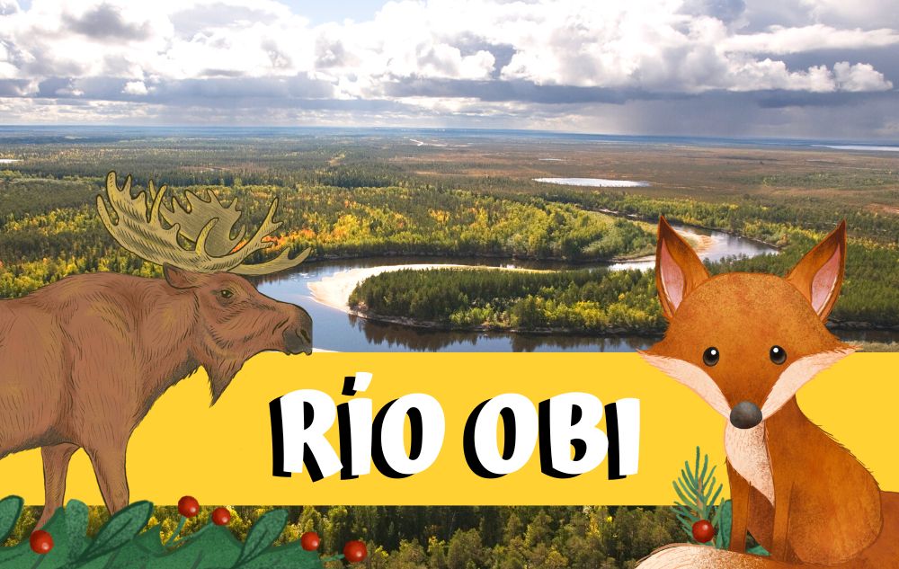 El río Obi : Donde nace, por qué países pasa y características